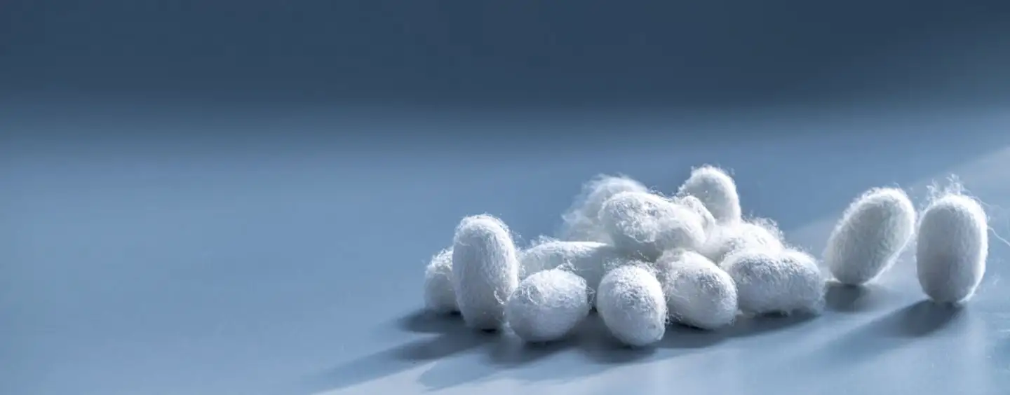 Silk Sericin powder - Xi'an Core Pure Bio & Tech -Professional in ...