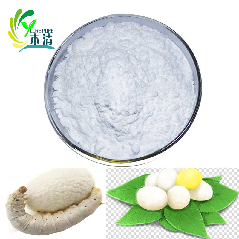 Silk Peptide powder - Xi'an Core Pure Bio & Tech -Professional in ...