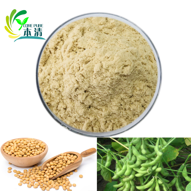 Soybean protein isolate powder - Xi'an Core Pure Bio & Tech ...
