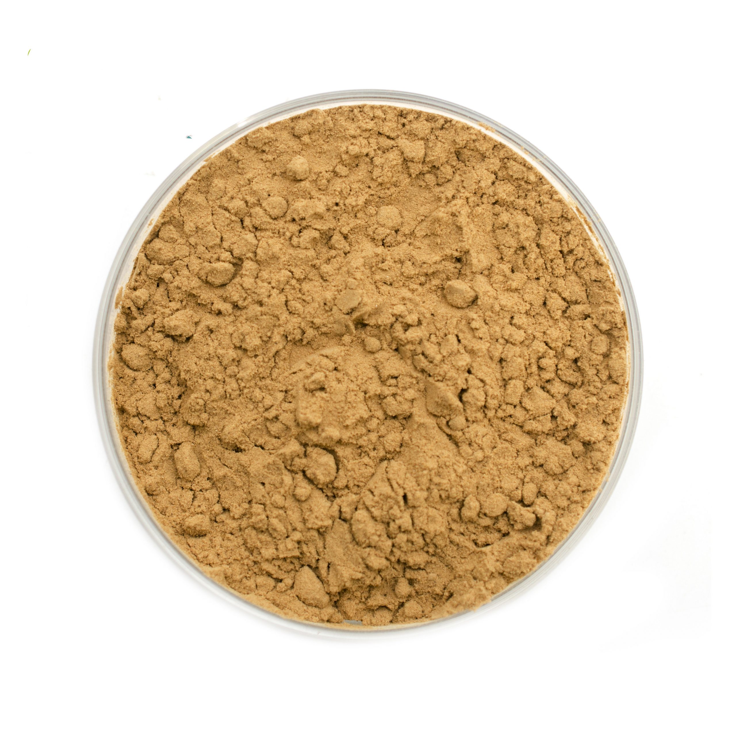 Tribulus Terrestris Extract Powder - Xi'an Core Pure Bio & Tech ...