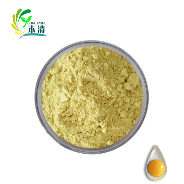 Egg York Lecithin - Xi'an Core Pure Bio & Tech -Professional in herbal ...