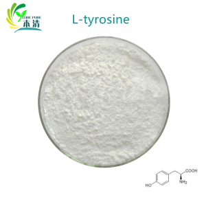 L-tyrosine - Xi'an Core Pure Bio & Tech -Professional in herbal extract ...